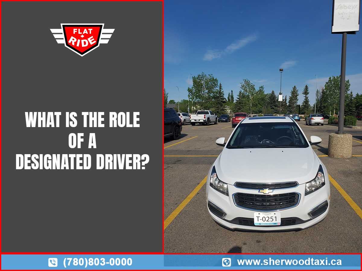What Is the Role of a Designated Driver?